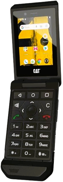 Did You Know: Flips and Cats | TAG of Baltimore | Technology Awareness ...